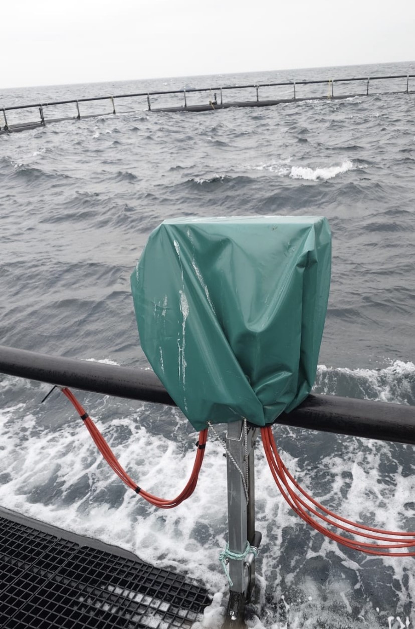 Padded Protection | Cunningham Covers